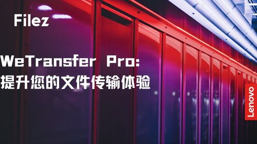 WeTransfer Pro：提升您的文件传输体验